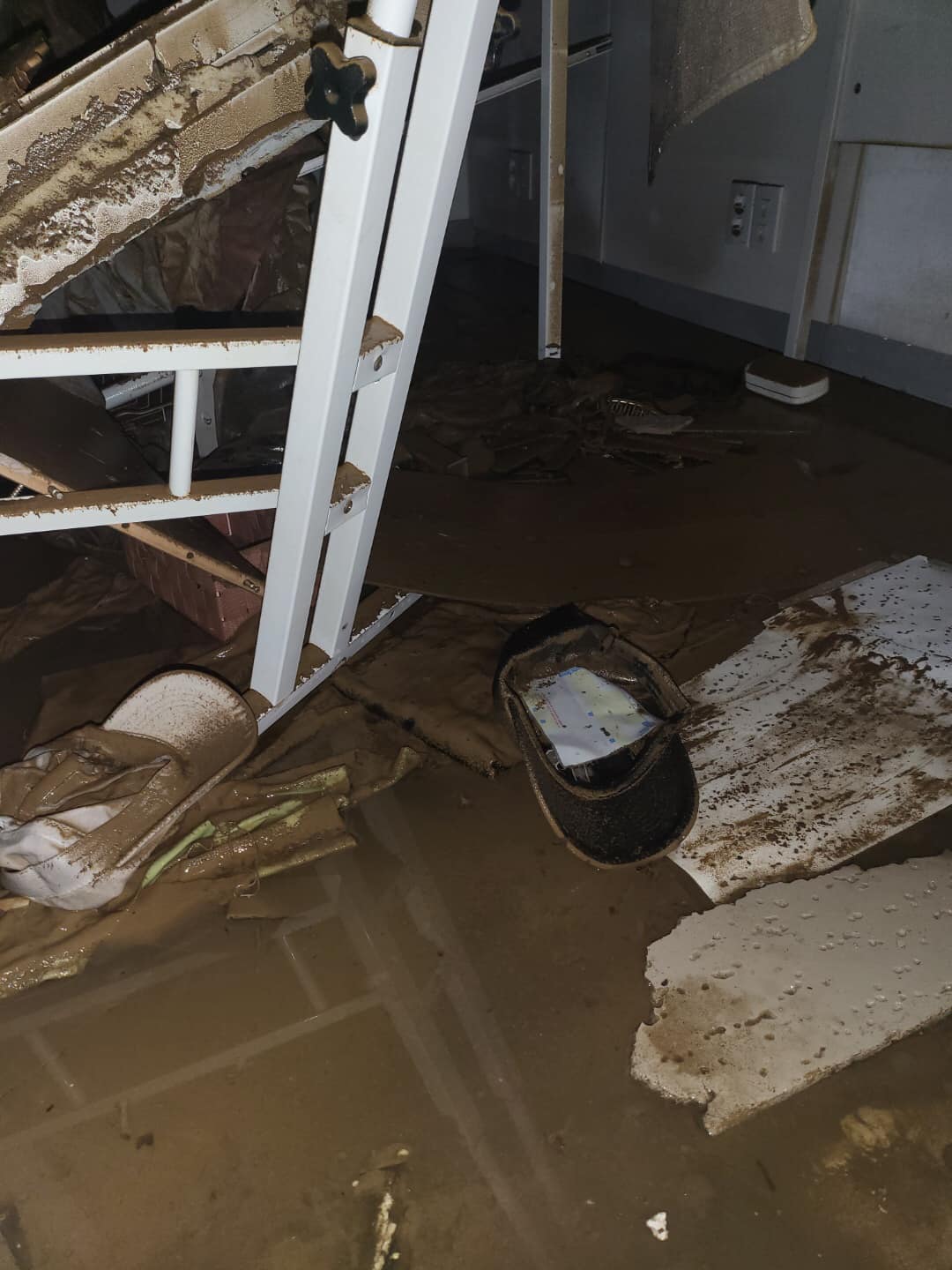 나의 일 – project_Qualia